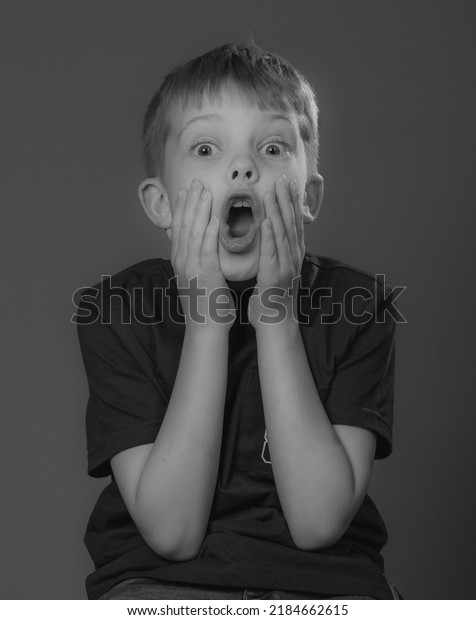 Young Boy Studio Pose Stock Photo 2184662615 | Shutterstock