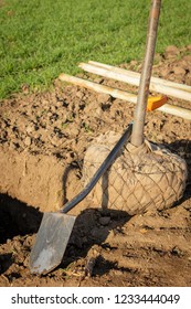142 Burlap root ball Images, Stock Photos & Vectors | Shutterstock