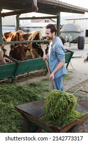 7,822 Stack cows Images, Stock Photos & Vectors | Shutterstock