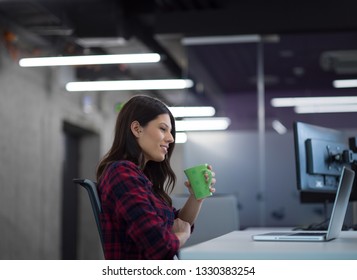 Young Female Software Developer Using Laptop Stock Photo 1330383254 | Shutterstock