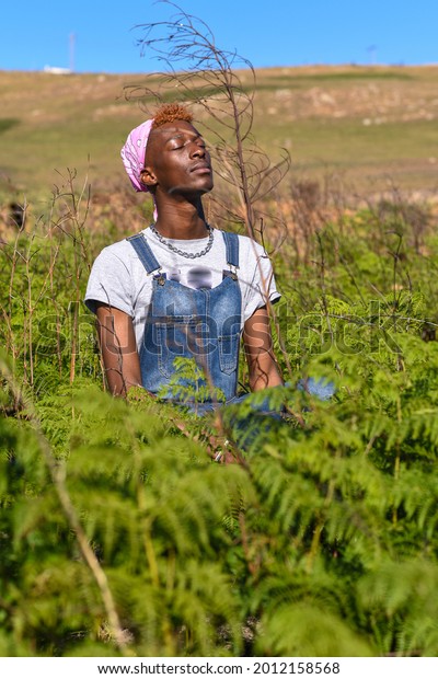 Young Man Sitting Contemplating Between Growing Stock Photo 2012158568 ...