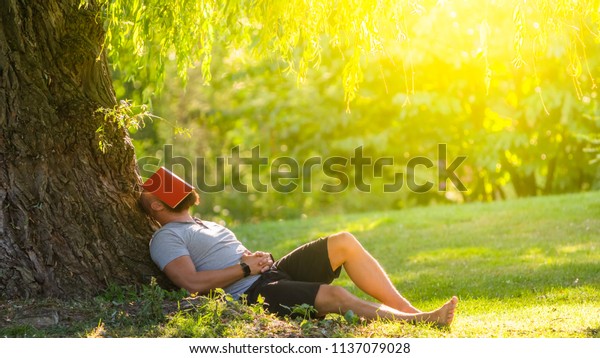 Young Man Sleeping Under Tree Weeping Stock Photo 1137079028 | Shutterstock