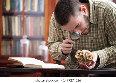 1,470 Magnifying glass rocks Images, Stock Photos & Vectors | Shutterstock