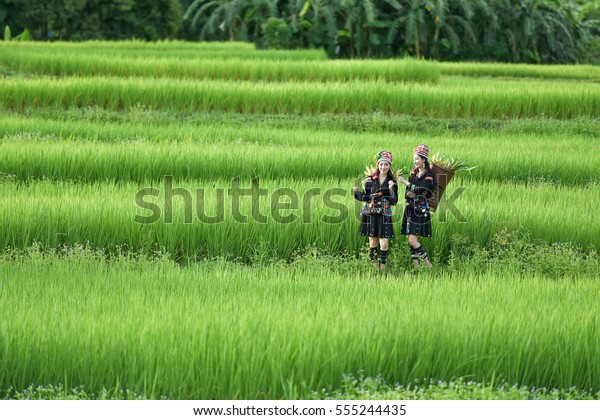Young Mong Stock Photo 555244435 | Shutterstock