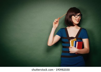 Young Teacher Pointer Stock Photo 190982030 | Shutterstock