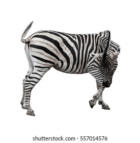 17,397 Zebra isolated Stock Photos, Images & Photography | Shutterstock