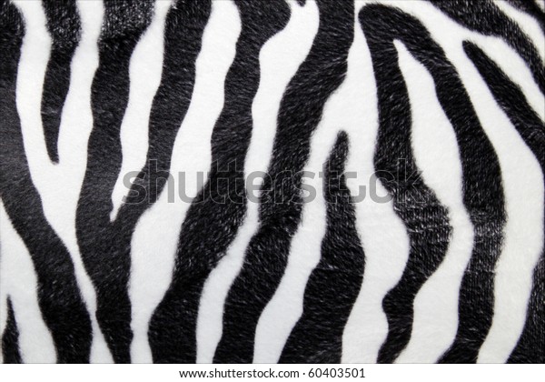 Zebra Skin Background Stock Photo 60403501 | Shutterstock