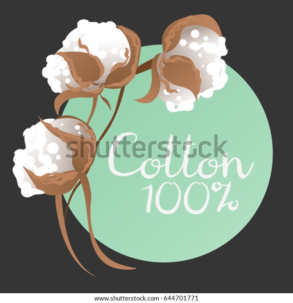100 Cotton Sign Stock Vector (Royalty Free) 644701771 | Shutterstock