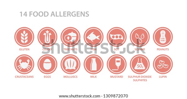 14 Food Allergens Menu List Circle Stock Vector (Royalty Free) 1309872070