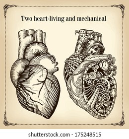 Anatomically Correct Mechanical Heart Stock Vector (Royalty Free) 173653175