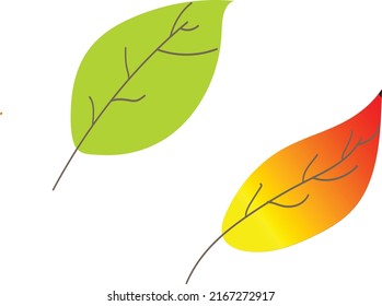 2 Leaf Vector Illustration Tree Stock Vector (Royalty Free) 2167272917 ...
