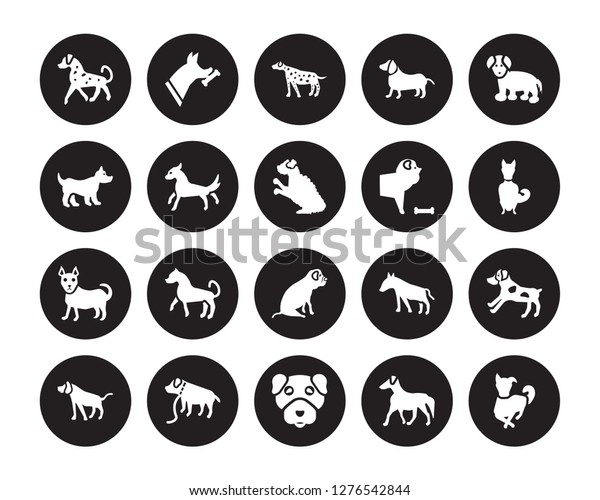 20 Vector Icon Set English Setters Stock Vector (Royalty Free ...