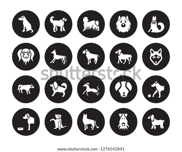 20 Vector Icon Set Vizsla Dog Stock Vector (Royalty Free) 1276542841 ...
