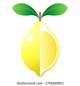 2d Fruit Vector Fresh Ripe Lemon Stock Vector (Royalty Free) 1796069851 ...