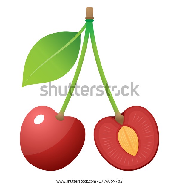 2d Fruit Vector Fresh Ripe Red Stock Vector (Royalty Free) 1796069782 ...
