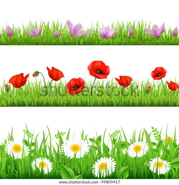 3 Flower Border Grass Isolated On Stock Vector (Royalty Free) 99809417 ...