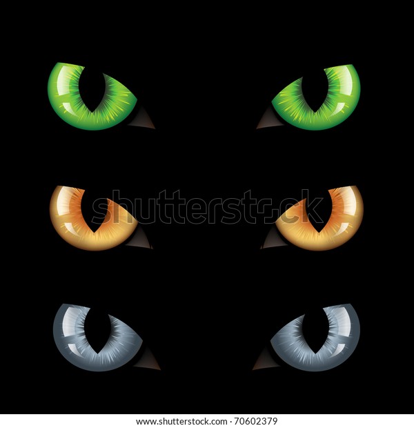 3 Wild Cat Eyes On Black Stock Vector (Royalty Free) 70602379