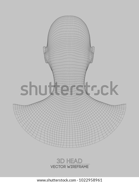 3d Head Wireframe Vector Drawing Wireframe 库存矢量图（免版税）1022958961 ...
