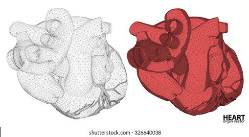 2.234 imagens de 3d mesh heart Imagens, fotos stock e vetores ...
