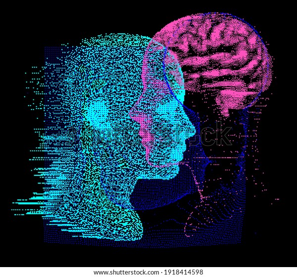 3d Illustration Human Brain Anatomy Made Stock Vector (Royalty Free ...