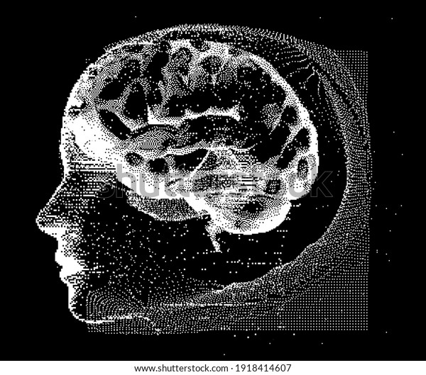 3d Illustration Human Brain Anatomy Made Stock Vector (Royalty Free ...