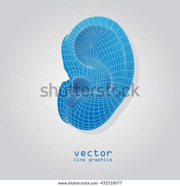 3d Illustration Line Graphics Ear Vector Stock Vector (Royalty Free ...
