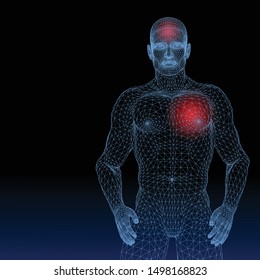 3d Male Body Structure Vector Stock Vector (Royalty Free) 1498168823 ...