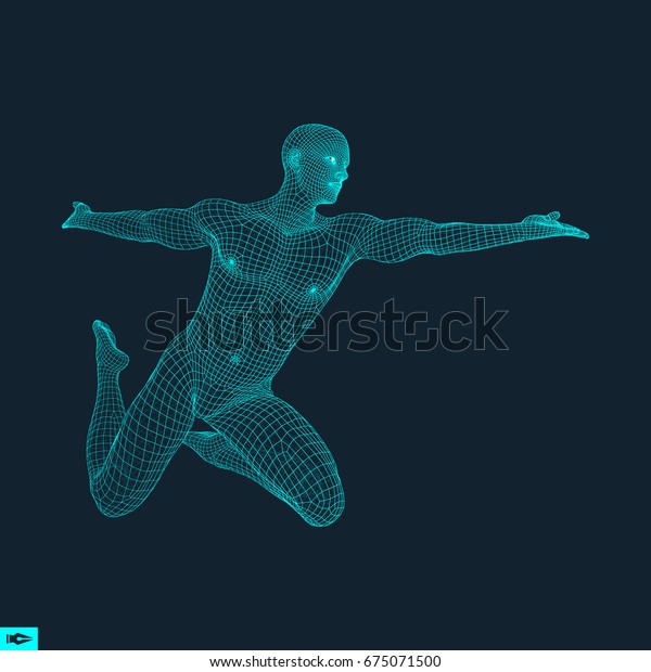 3d Model Man Human Body Wire Stock Vector (Royalty Free) 675071500 ...