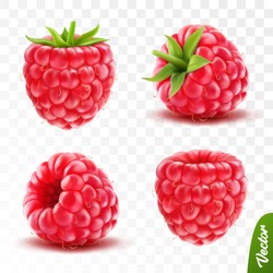 Red Raspberries Images, Illustrations & Vectors (Free) - Bigstock