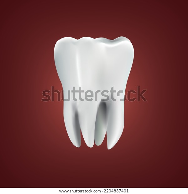 3d Tooth Vector Design Teeth Banner Stock Vector (Royalty Free ...