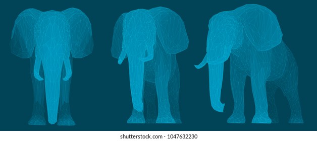 3d Vector Elephant Set Design Stock Vector (Royalty Free) 1047632230 | Shutterstock