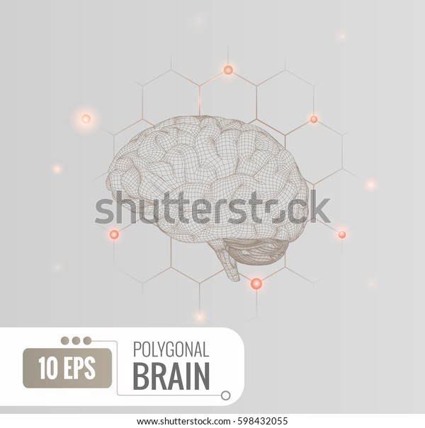 3d Wireframe Brain Illustration Lateral Side Stock Vector (Royalty Free ...