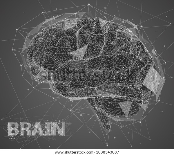 3dl Vector Cyber Brain Neural Network Stock Vector (Royalty Free ...