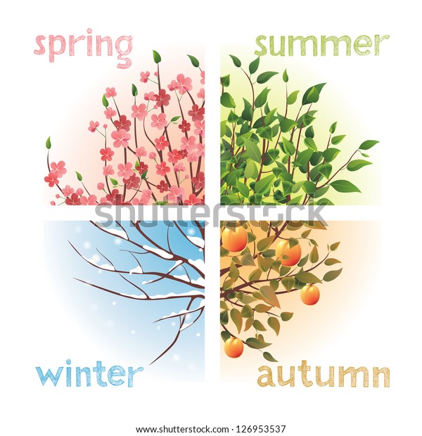 4 Seasons 1 Tree Stock Vector (Royalty Free) 126953537