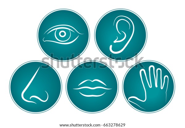 5 Senses Symbols Vector Stock Vector (Royalty Free) 663278629