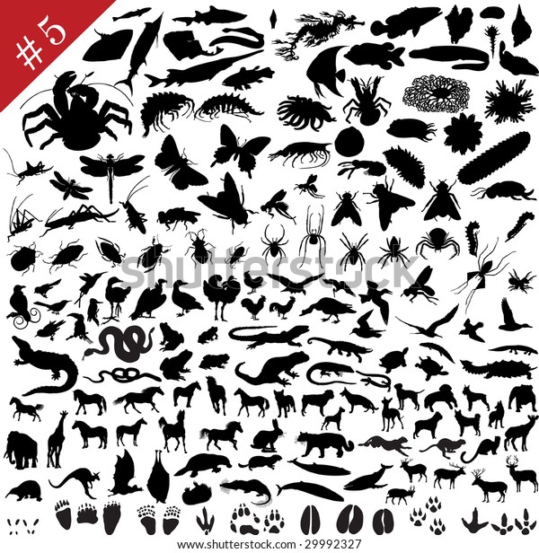 5 Set Different Animals Birds Insects Stock Vector (Royalty Free) 29992327