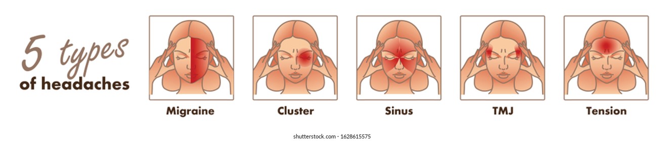 5 Types Headaches Migraine Cluster Sinus Stock Vector (Royalty Free ...