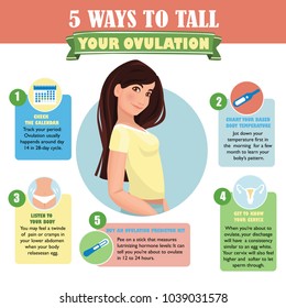 1,704 Ovulation infographic Images, Stock Photos & Vectors | Shutterstock