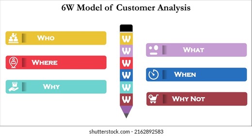 6w Model Customer Analysis Used Analyze Stock Vector (Royalty Free ...