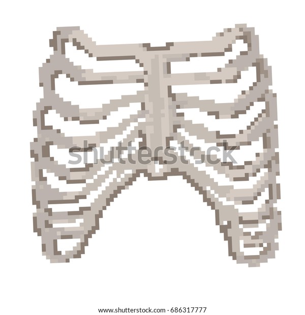 8bit 16bit Pixel Ribcage Chest Sternum 스톡 벡터(로열티 프리) 686317777 ...