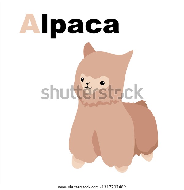 Aa Alphabet Alpaca Vector Illustration Stock Vector (Royalty Free ...