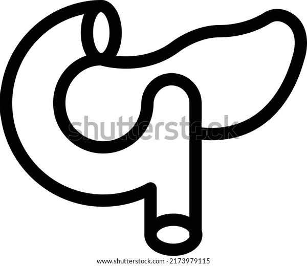 Abdomen Vector Illustration On Transparent Backgroundpremium: เวกเตอร์ ...