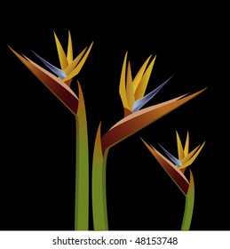 2,327 Heaven bird flower Images, Stock Photos & Vectors | Shutterstock