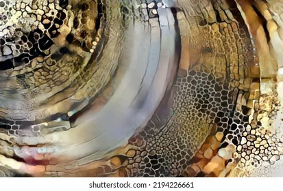 Abstract Background Image Decorative Stone Texture Stock Vector ...