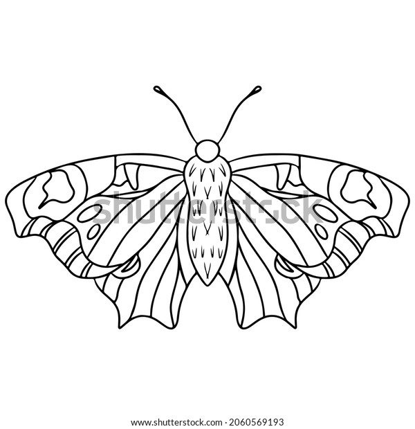 Abstract Black Line Butterfly Different Card Stock Vector (Royalty Free ...