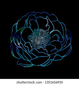 Abstract Blue Flower Line Vector Stock Vector (Royalty Free) 1351656935 ...