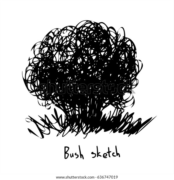 Abstract Bush Sketch Black White Hand Stock Vector (Royalty Free ...