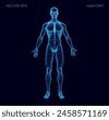 9+ Million Human Body Royalty-Free Images, Stock Photos & Pictures ...