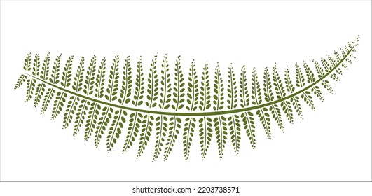 Abstract Fern Leaf Interior Horizontal Art Stock Vector (Royalty Free ...
