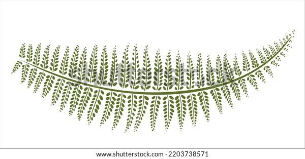 Abstract Fern Leaf Interior Horizontal Art Stock Vector (Royalty Free ...